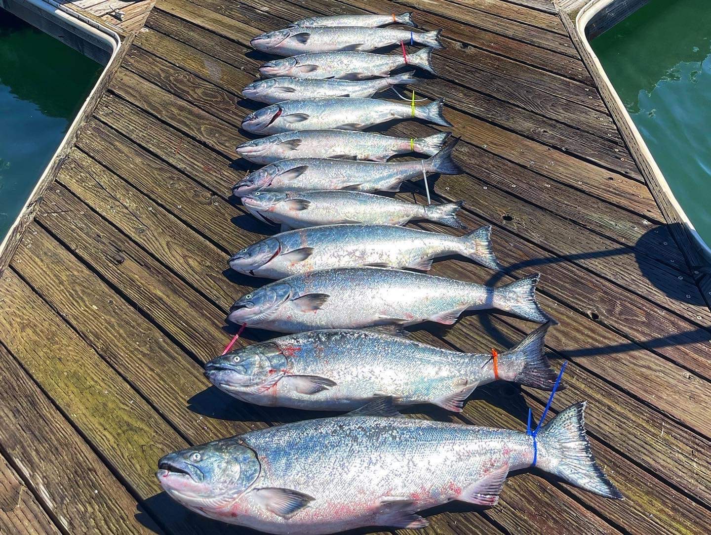 Hi! – Deadliest Kast